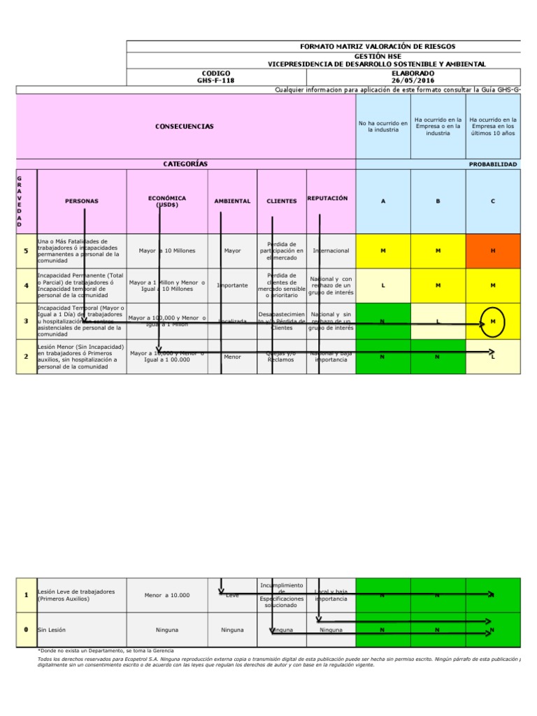 Matriz RAM | PDF | Primeros auxilios | Salud y bienestar