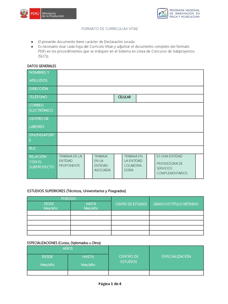 Formato de Curriculum Vitae | PDF | Plan de estudios | Educación avanzada