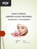 Manual Protocolo Tratamientos Estetico Facial y Corporal | PDF