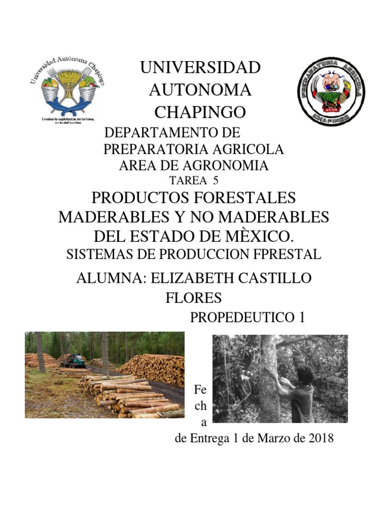 Productos Forestales Maderables y No Maderables | PDF | Los bosques ...