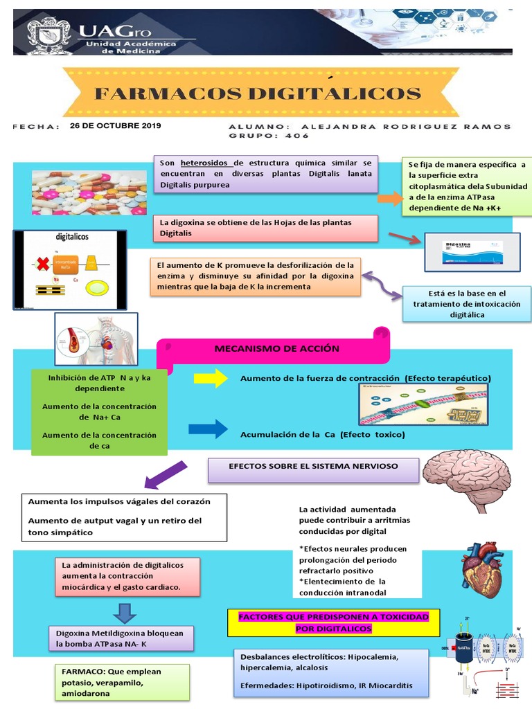 Infografia Digitálicos PDF | PDF | Rtt | Drogas