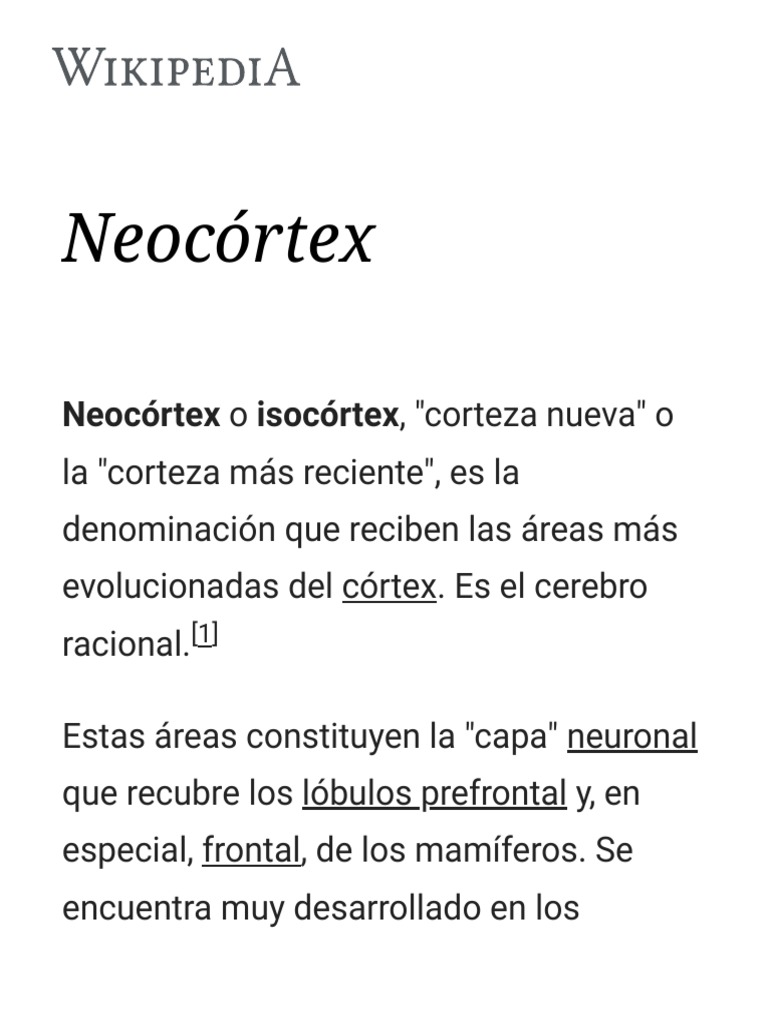Neocórtex - Wikipedia, La Enciclopedia Libre PDF | PDF | Neocortex ...