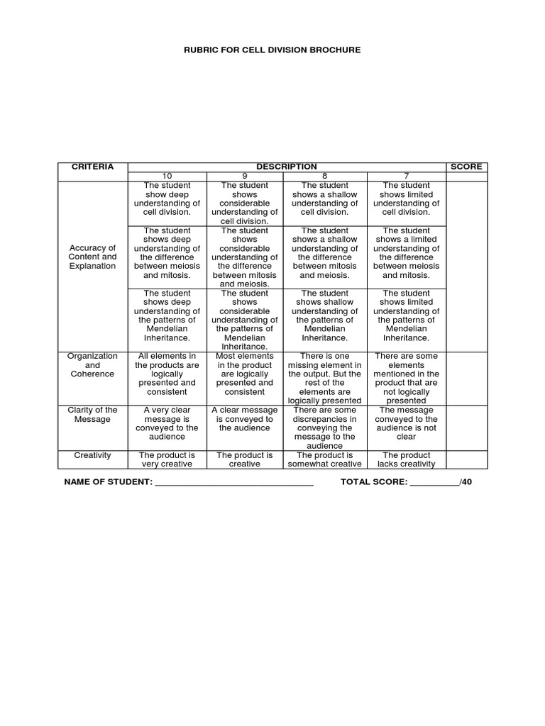 Rubric For Cell Division Brochure-1 | PDF | Mitosis | Biological Processes