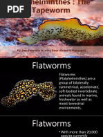 1687761495.6. Type of Cercariae With Examples | PDF | Zoology