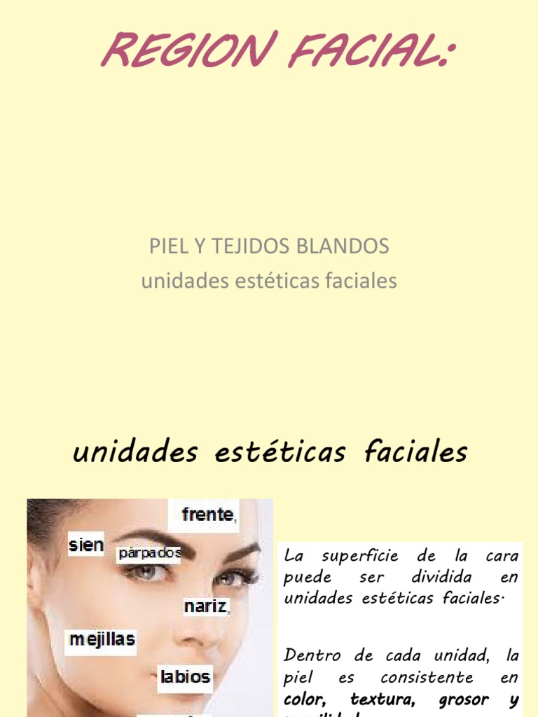 Región facial: piel y tejidos blandos de la cara | PDF | Piel | Cabeza ...