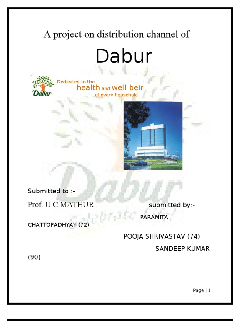 Dabur Distribution Channel Analysis | PDF | Ayurveda | Sustainability