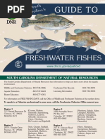 Evolution by Natural Selection WKS Lab ANSWER KEY Zu3kag | PDF ...