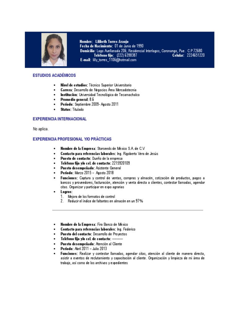 Formato de CV Lilibeth Torres PDF | PDF | Business | Informática y ...