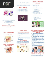 Leaflet Kesehatan Reproduksi Remaja | PDF