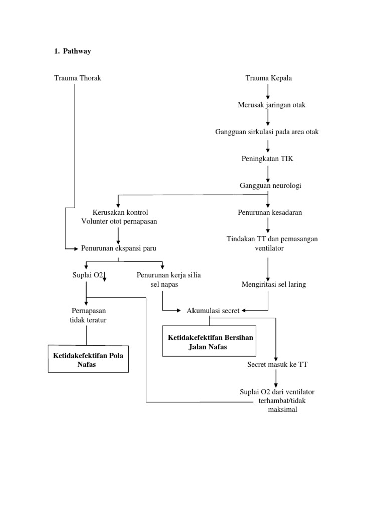 Pathway Post of Craniotomy | PDF
