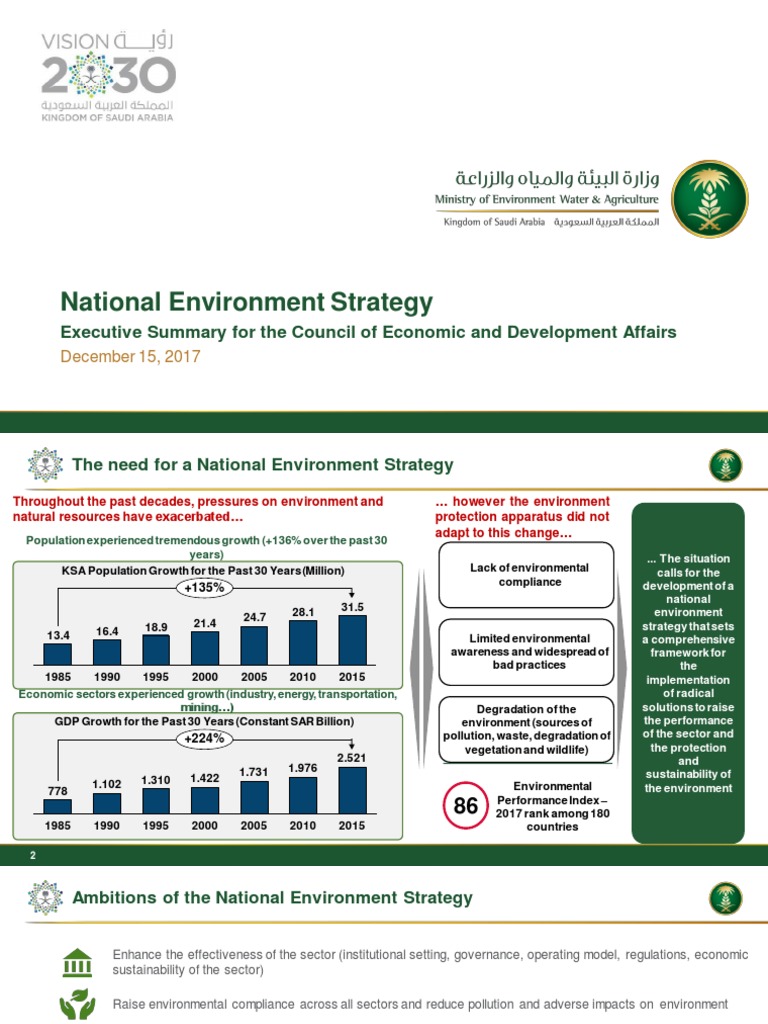 National Environment Strategy: Executive Summary | PDF | Environmental ...