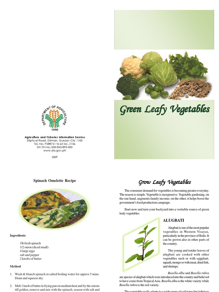 Green Leafy Vegetables | PDF | Vegetables | Lettuce