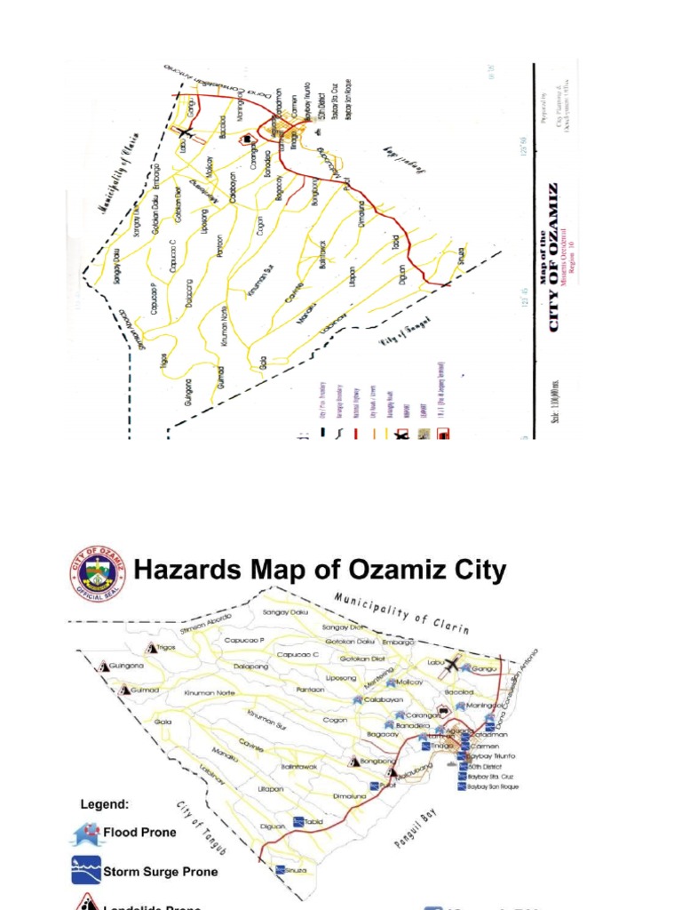 School Disaster Management Contingency Plan 1 | PDF