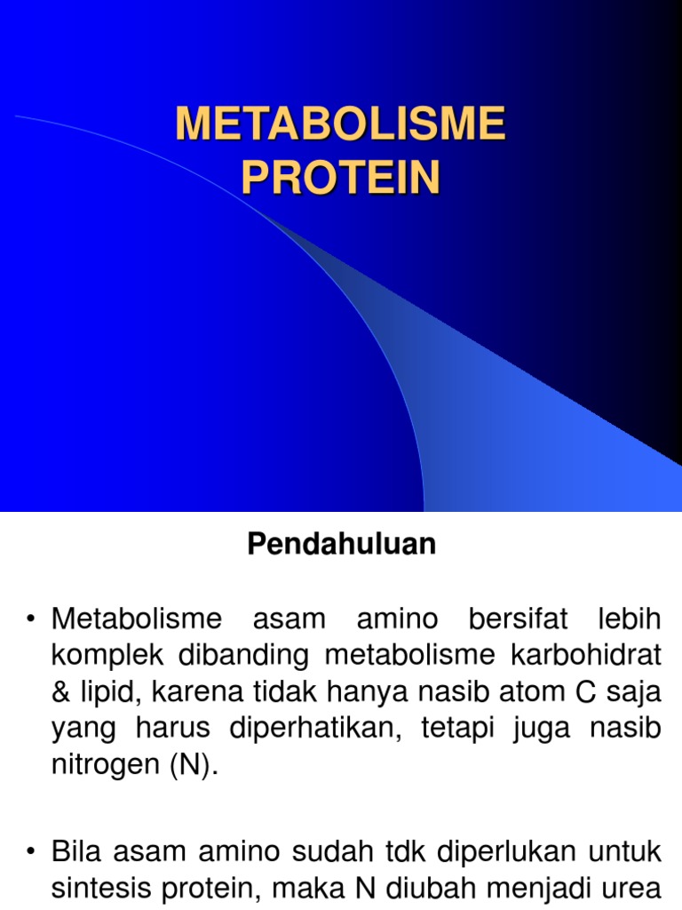 Metabolisme Protein dan Asam Amino | PDF