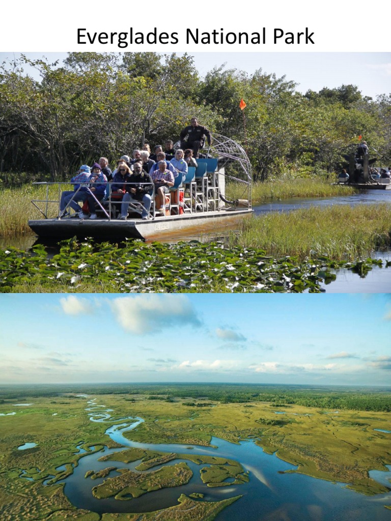 Everglades National Park | PDF