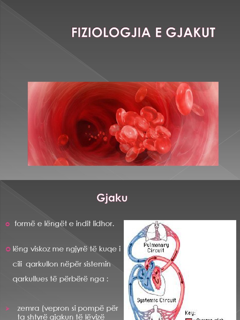 Gjaku Dhe Roli I Tij | PDF