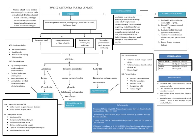Woc - Anemia Dilla | PDF