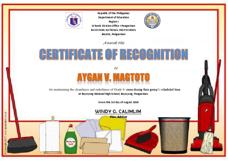 Cleaner Certificate