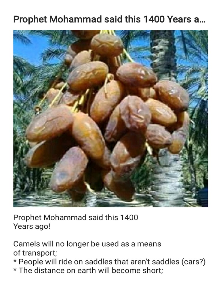 Prophet Muhammad SA'WS Said This 1400 Years Ago. | PDF