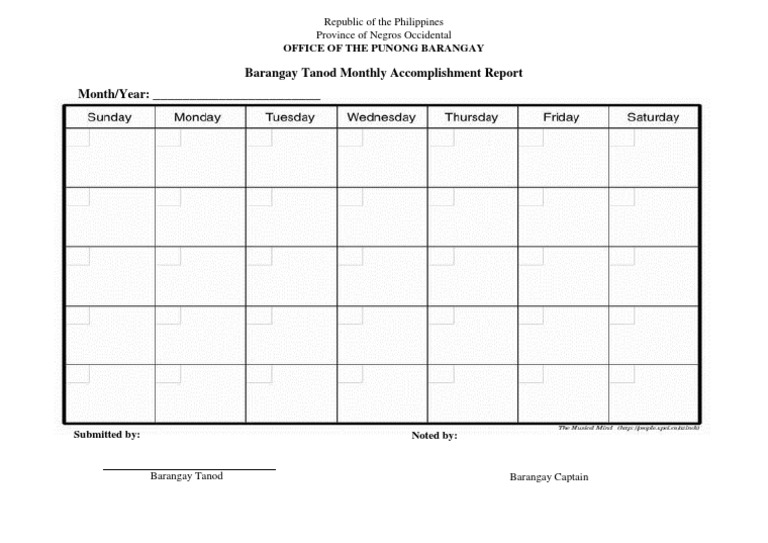 SAMPLE - Barangay Tanod Monthly Accomplishment Report