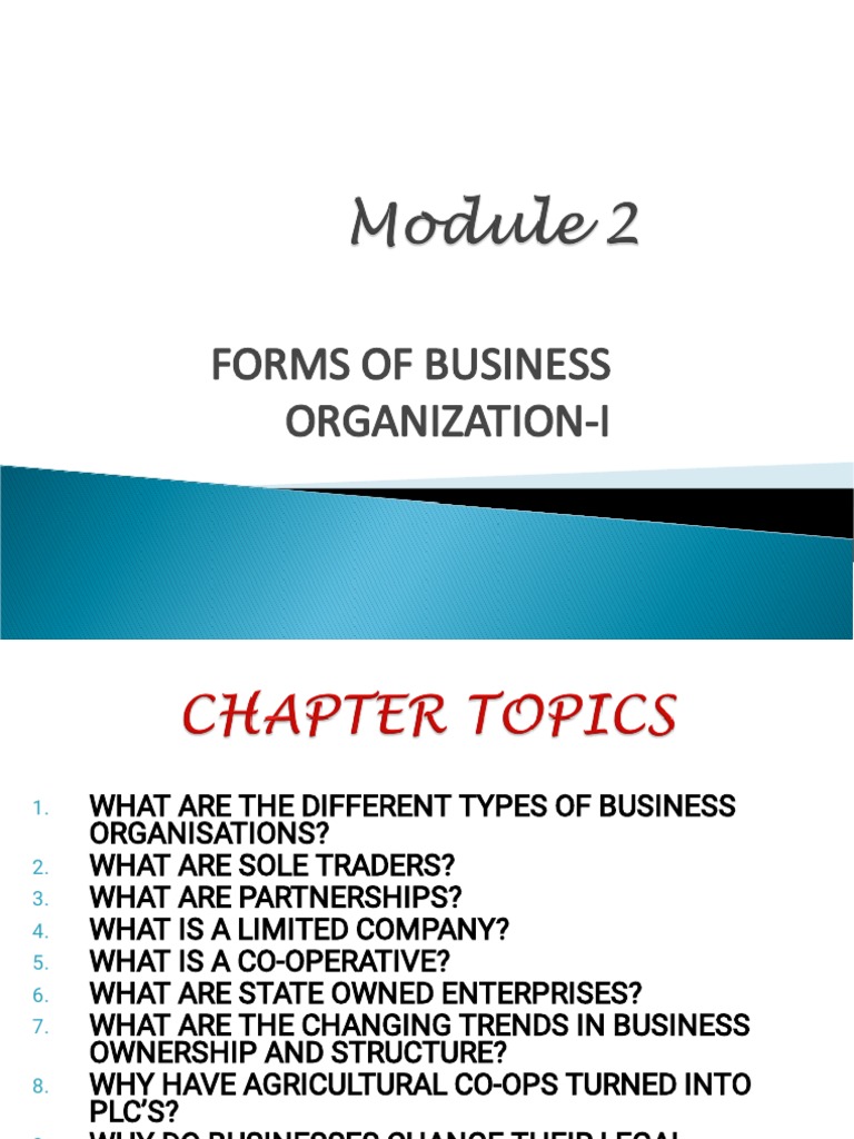 Business Organisation and Structure Unit 2 | PDF