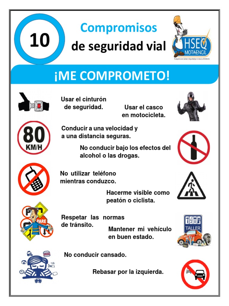 Seguridad Vial | PDF