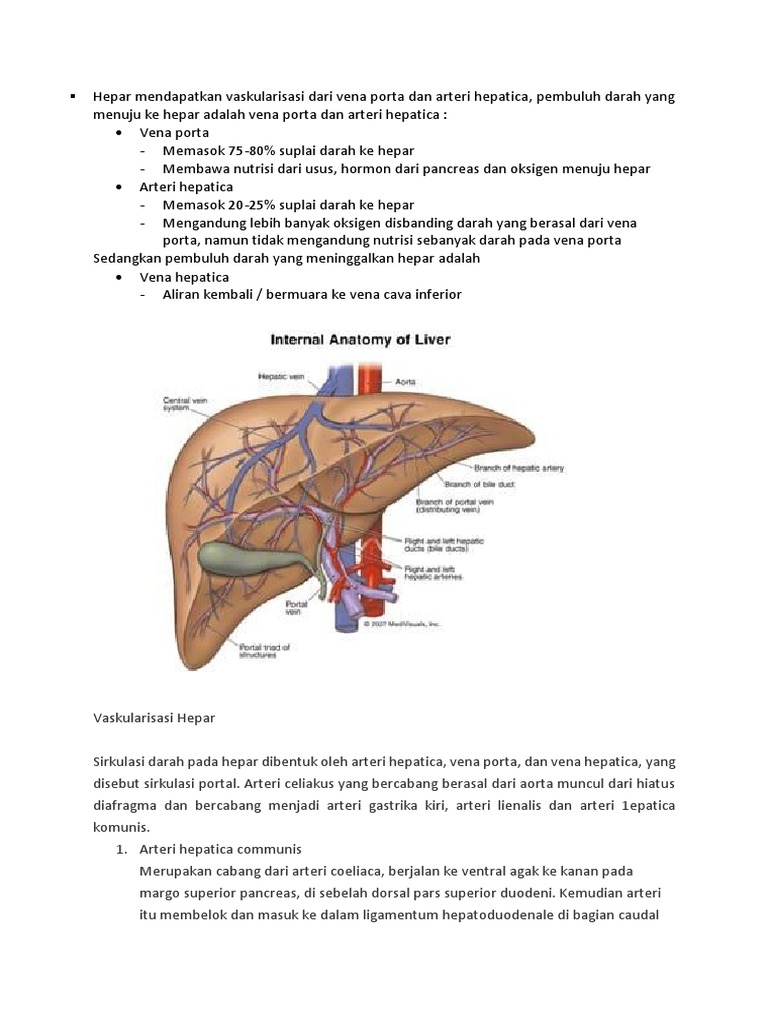 Hepar Mendapatkan Vaskularisasi Dari Vena Porta Dan Arteri Hepatica | PDF