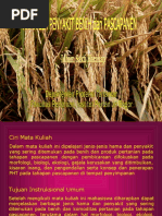 Klasifikasi & Morfologi Padi | PDF