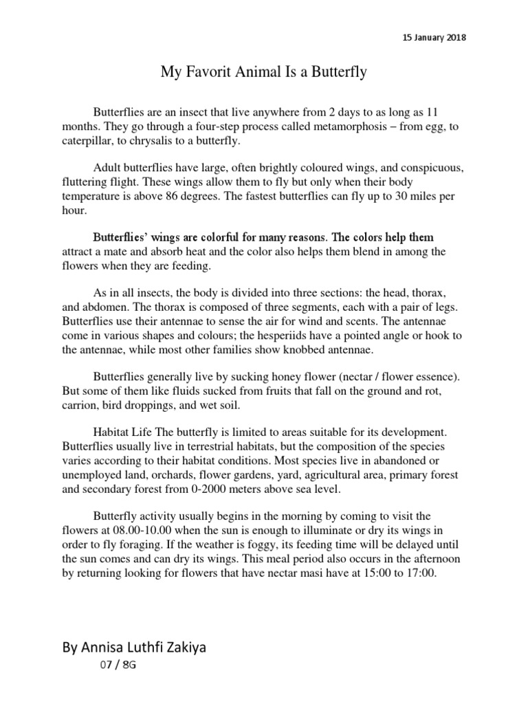 My Favorit Animal Is A Butterfly | PDF | Butterfly | Insects