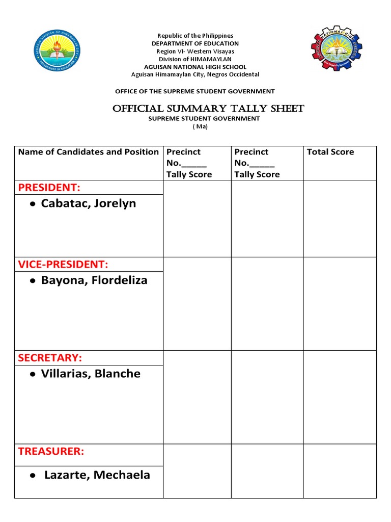 SUMMARY TAlly Sheet | PDF