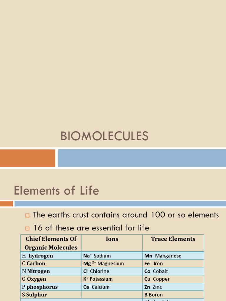 Key Elements in Biomolecules | PDF | Fat | Lipid