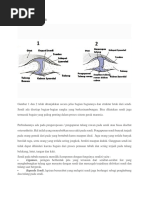 Jenis Sendi Dalam Tubuh | PDF