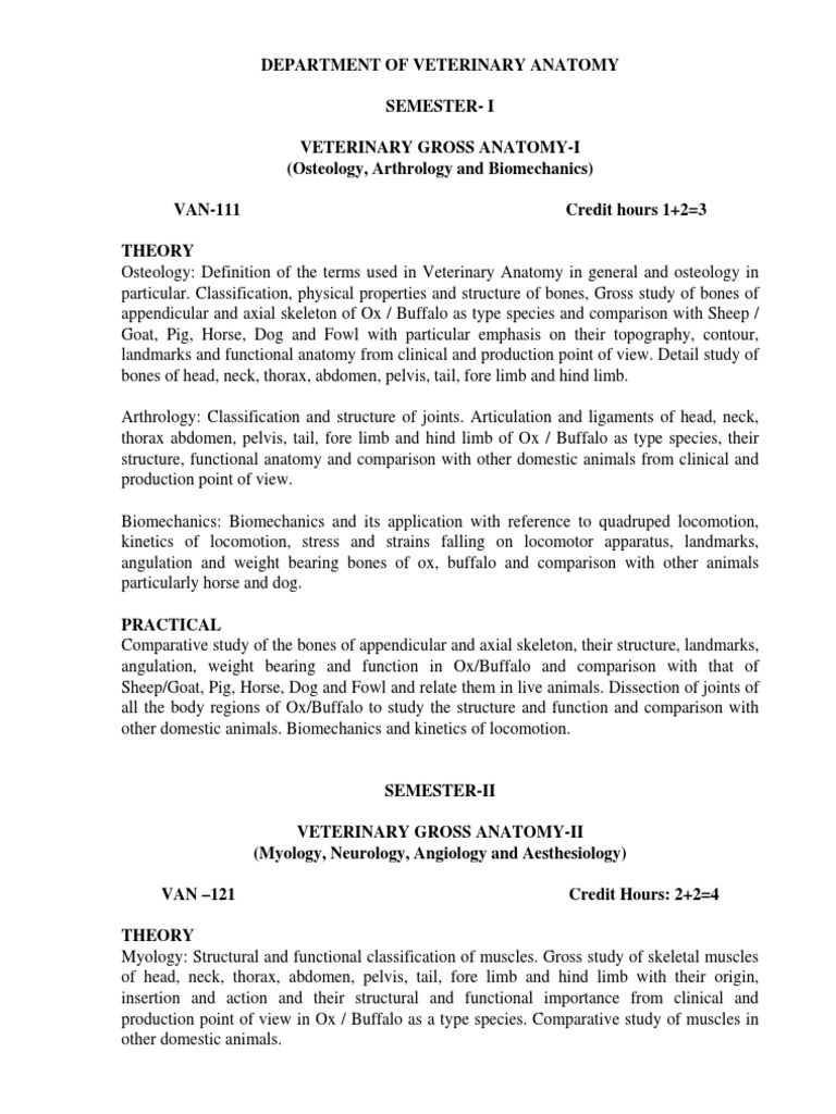 Veterinary Anatomy | PDF | Human Body | Organ (Anatomy)