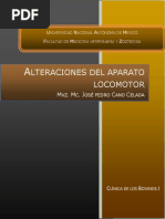 Ferulas y Vendajes en Equinos | PDF | Hombro | Rodilla