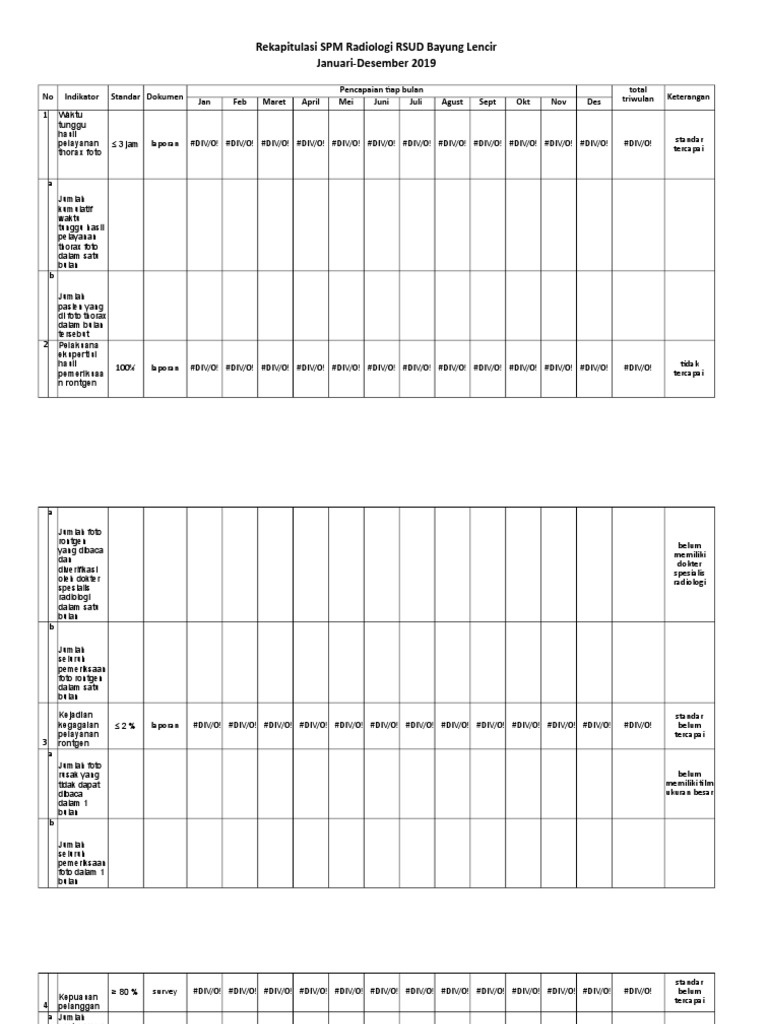 Rekap SPM Radiologi 2019 RSUD Bayung Lencir | PDF