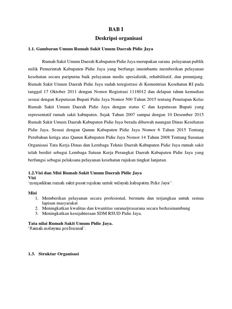 Profil RSUD Pidie Jaya | PDF