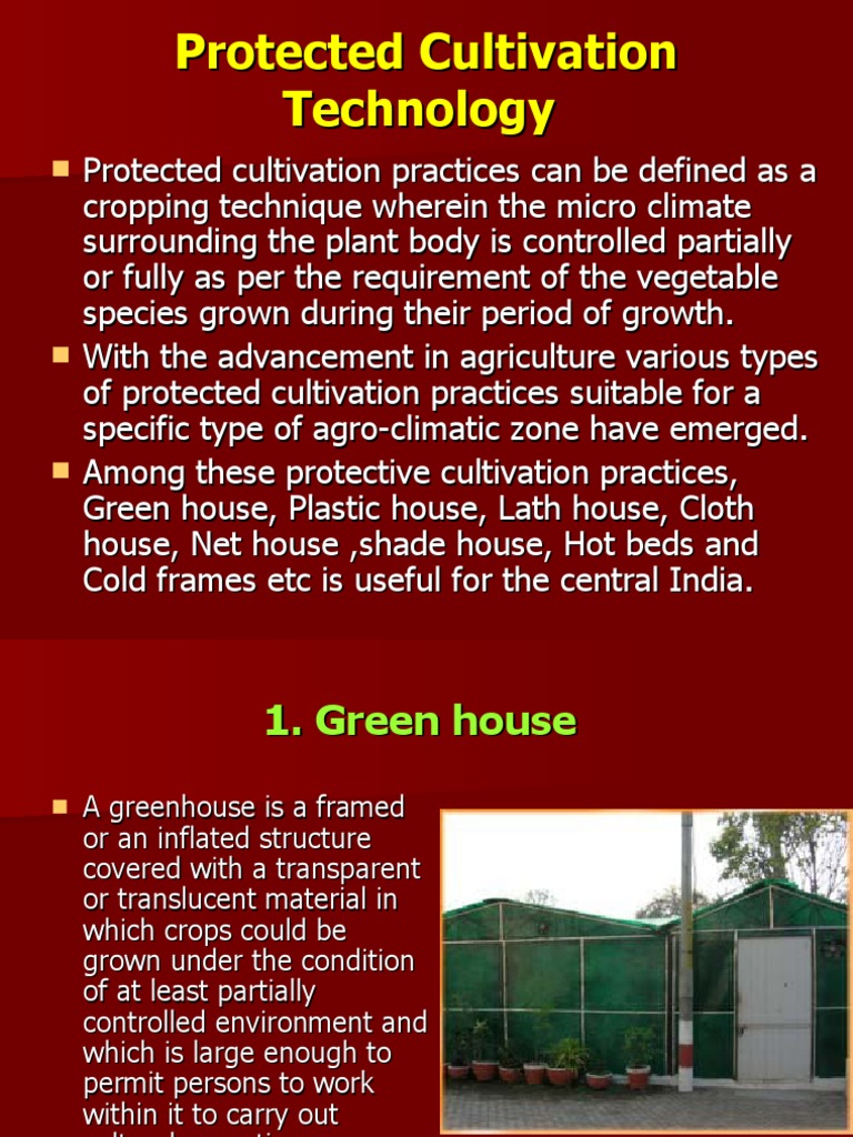 Protected Cultivation | PDF | Greenhouse | Agriculture