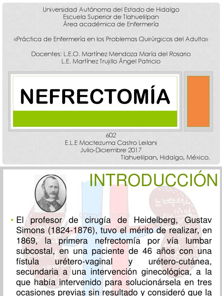 Nefrectomía L PDF | PDF | Riñón | Órgano (anatomía)