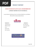 RICEF Presentation | PDF | Databases | Business Process