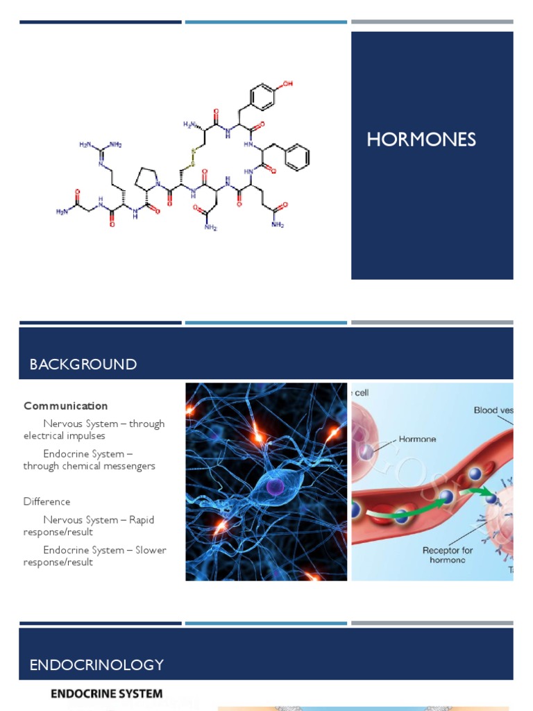 Introduction - Hormones | PDF