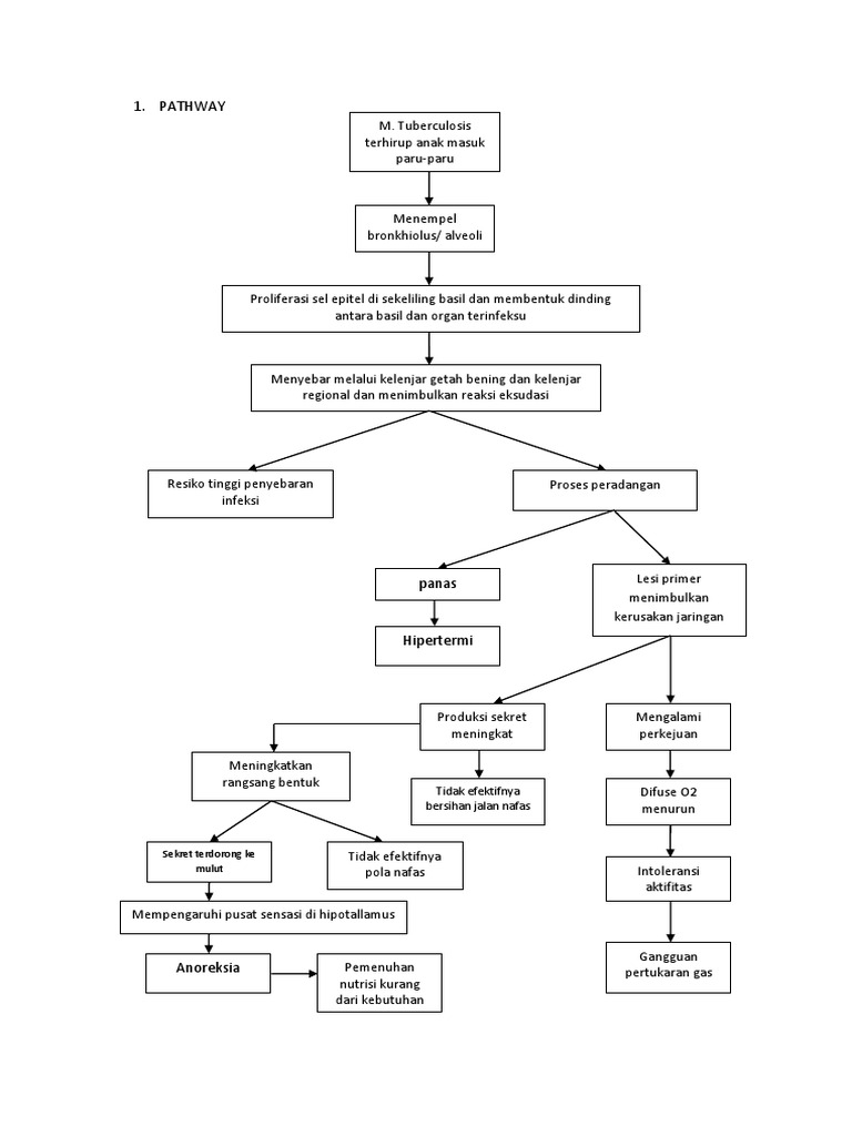 Pathway Patofisiologi TBC Paru | PDF