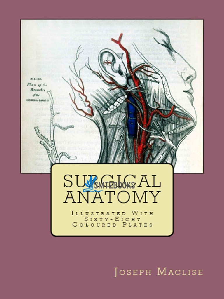 Surgical Anatomy - Illustrated With Sixty-Eight Coloured Plates 1st ...