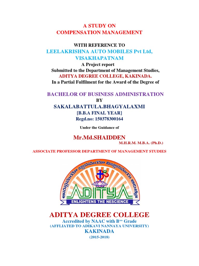 Bhagi Bba Project | PDF