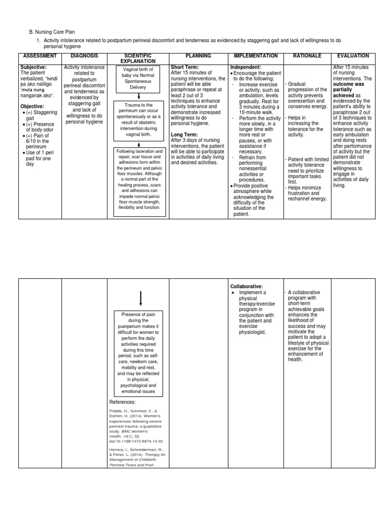 Top 3 NCP For CASE-PRES PDF | PDF