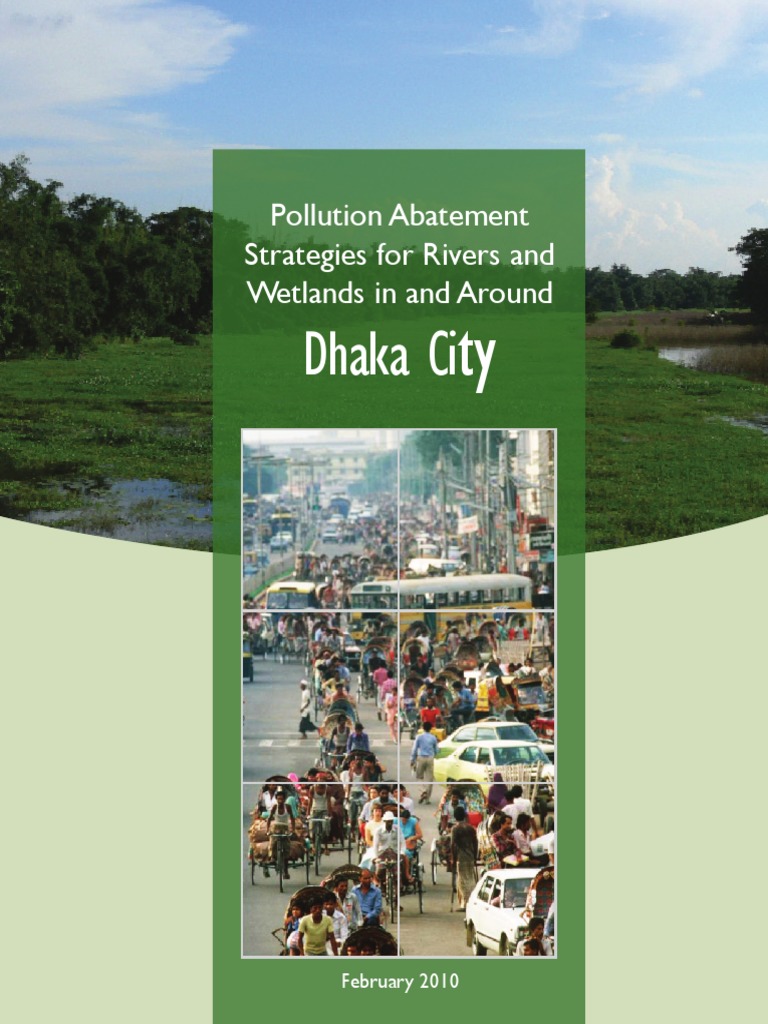 Pollution Abatement Strategies For River and Wetland | PDF