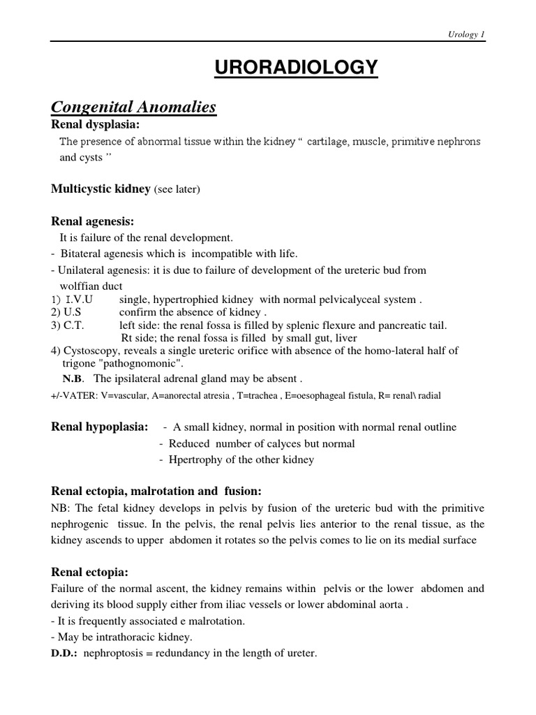 Master Radiology Notes Urology PDF | PDF