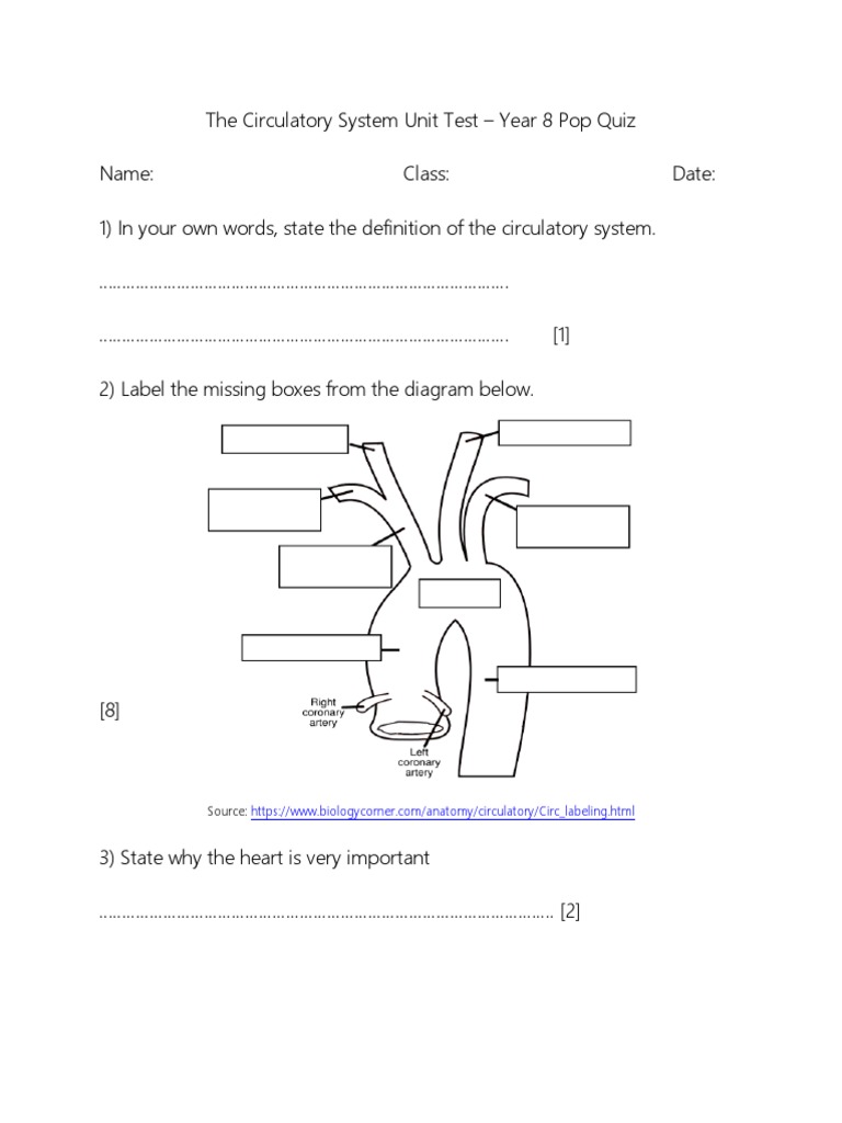 The Circulatory System Unit Test | PDF