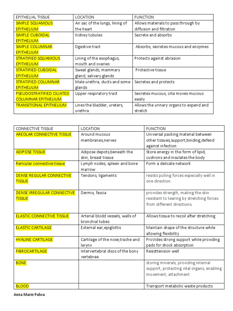 Anaphy Tissues | PDF