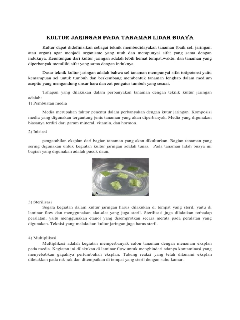 Kuljar Lidah Buaya | PDF | Sains & Matematika