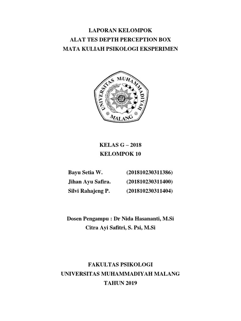 Depth Perception Box | PDF